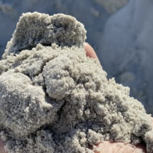 Bedding Sand | Landscape Supplies | Bulk Sand Supplies Brisbane